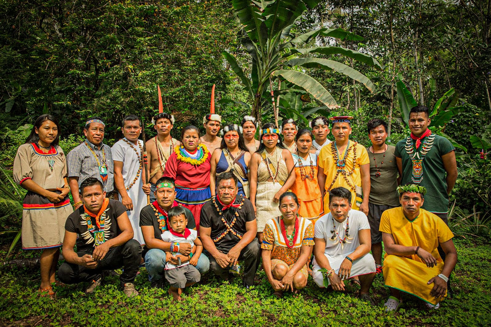 We Will Be Jaguars - We Will Not Be Saved - The Book