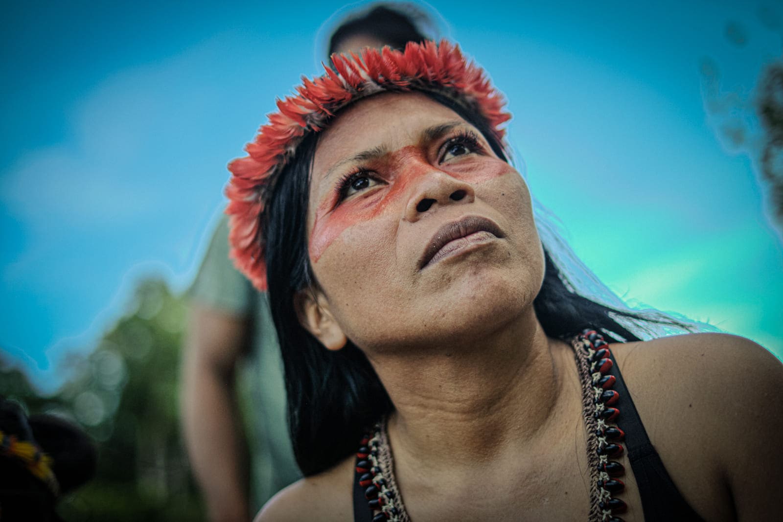 We Will Be Jaguars - We Will Not Be Saved - The Book